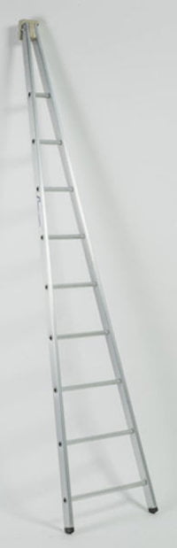 Ramsay 2.5m Single Section Aluminium Window Cleaning Ladder - Browns ...