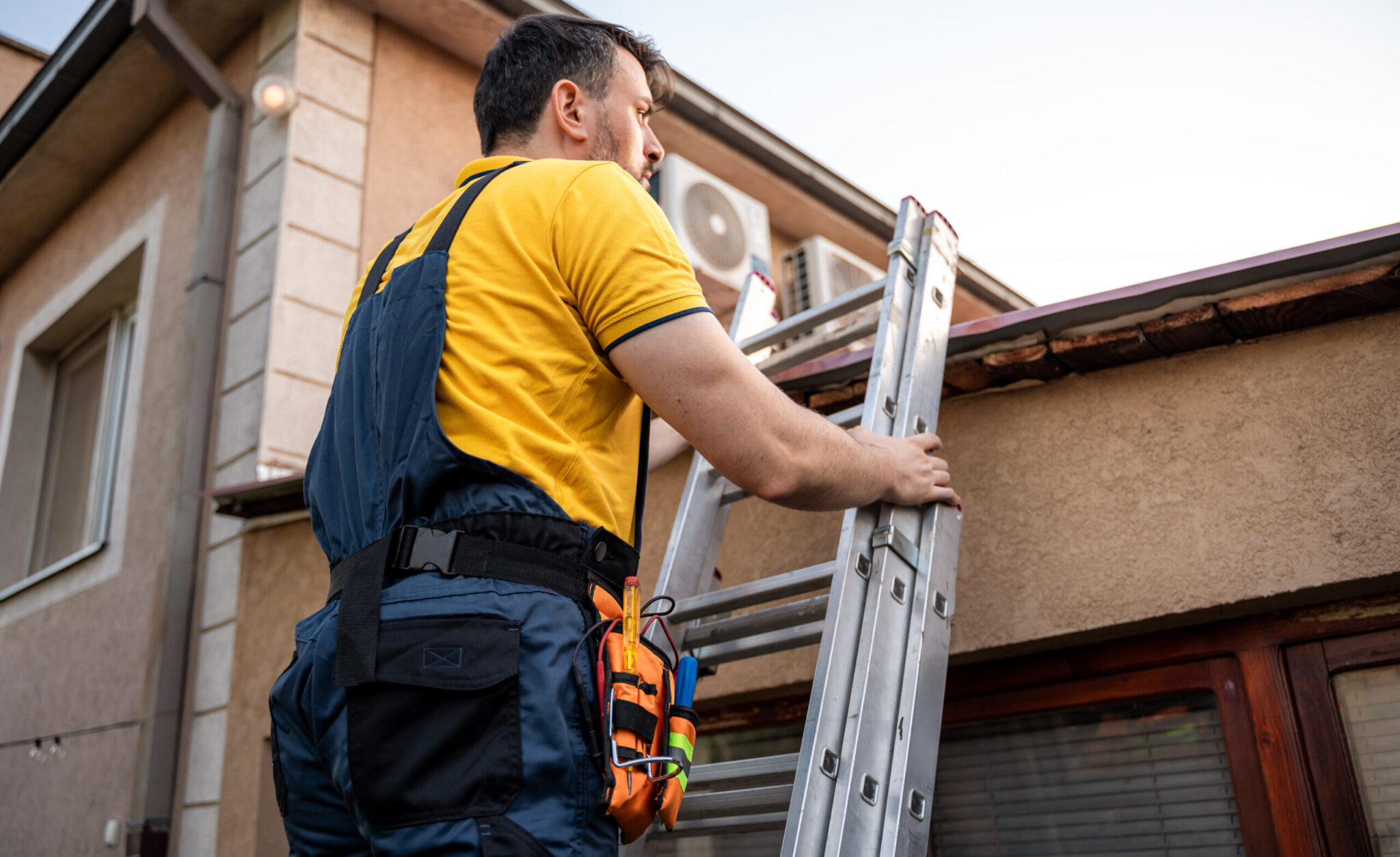 Six best ladders and which one to buy - Browns Ladders